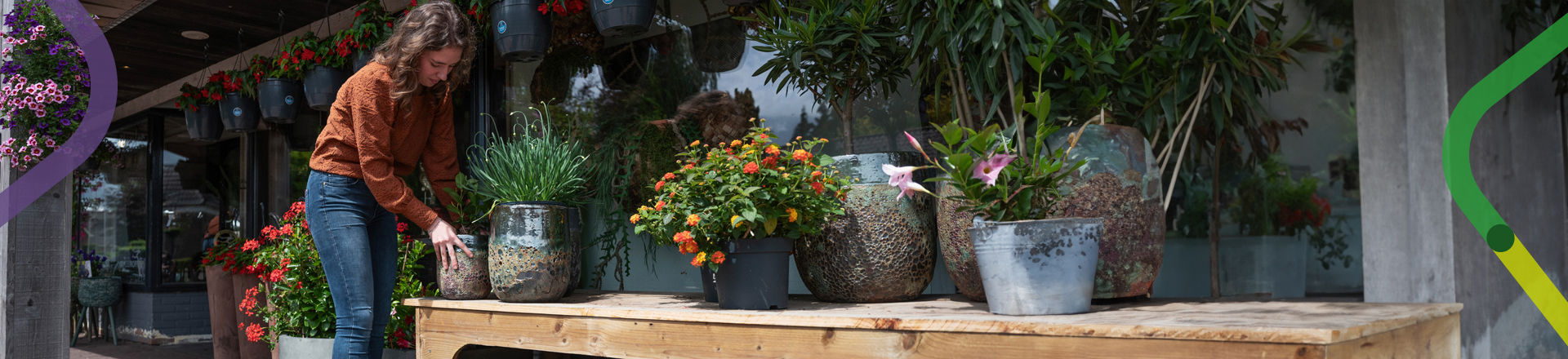 Beroepspraktijkvorming (stage) Aeres MBO Velp