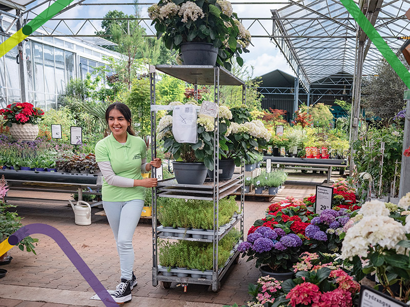 Assistent verkoop-retail | BOL en BBL | Mbo niveau 1 | Buitenpost ...