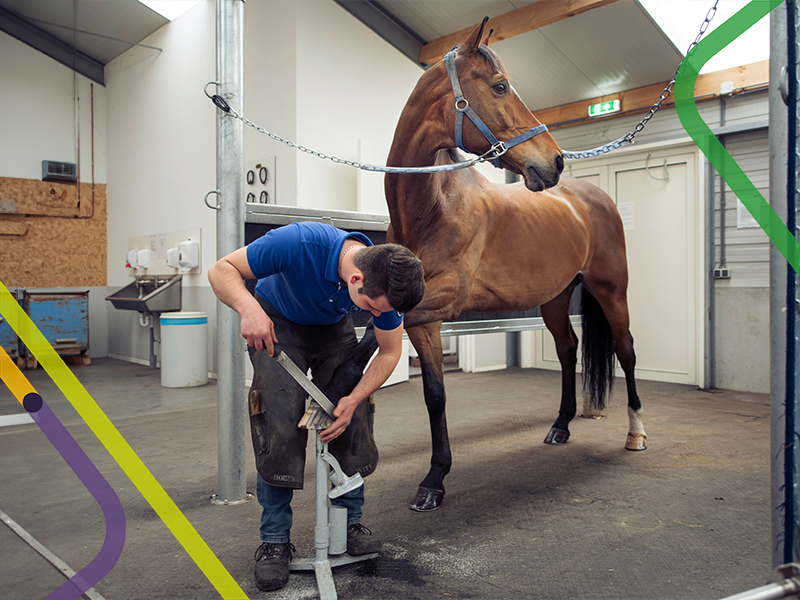 Hoefsmid | BOL en BBL | Mbo niveau 3 | Barneveld