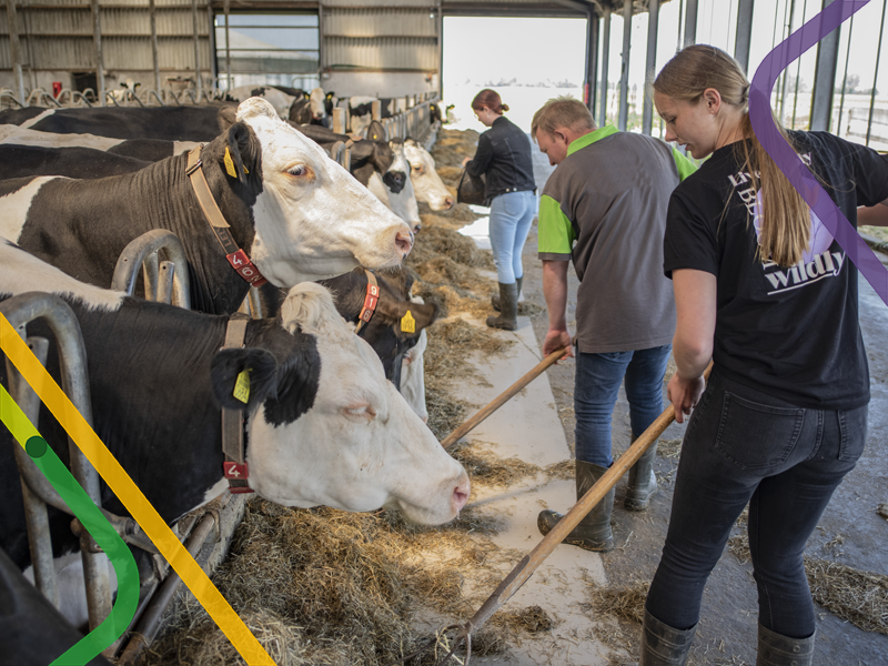 Werkbegeleider zorgboerderij | BOL | Mbo niveau 3 | Leeuwarden